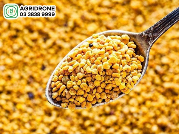 Phấn Hoa Cà Phê Có Tác Dụng Gì? Cách Sử Dụng Hiệu Quả