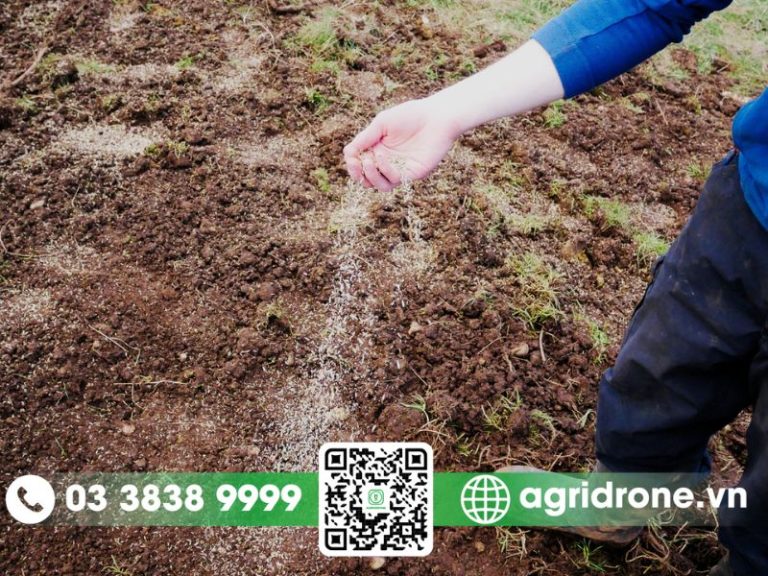 Các Cách Cải Tạo đất Trồng Cam đúng Kỹ Thuật Và Hiệu Quả